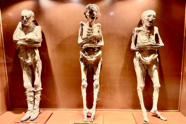 It’s All About Mummies – JAX FAX Travel Marketing Magazine