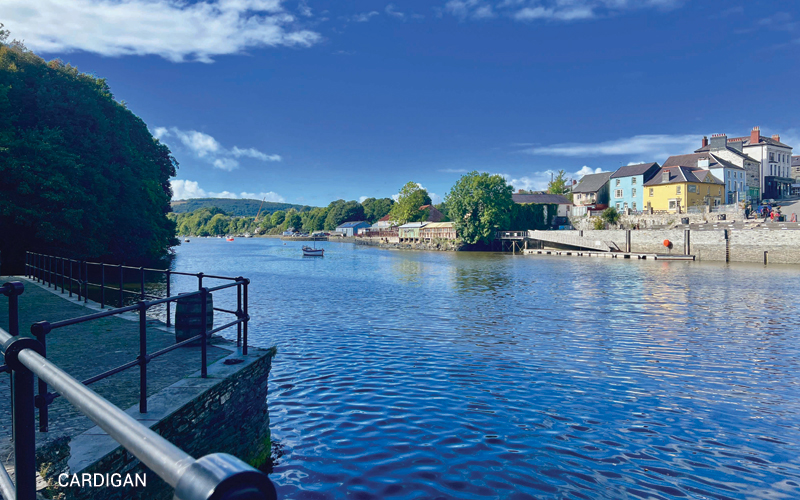 Why You Should Visit Wales in 2026 – JAX FAX Travel Marketing Magazine